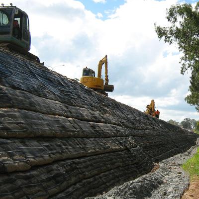 중국 High Strength PP/ HDPE Uniaxial Plastic Geogrid For Retaining Wall 판매용