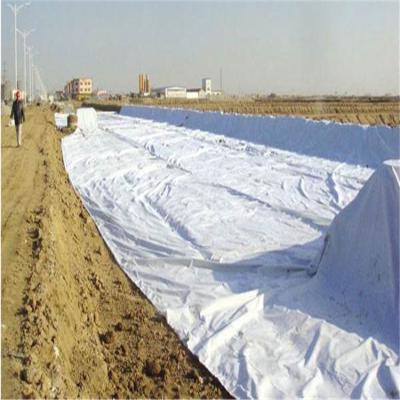 中国 High Strength PP Polypropylene Nonwoven Geotextile Fabric 販売のため