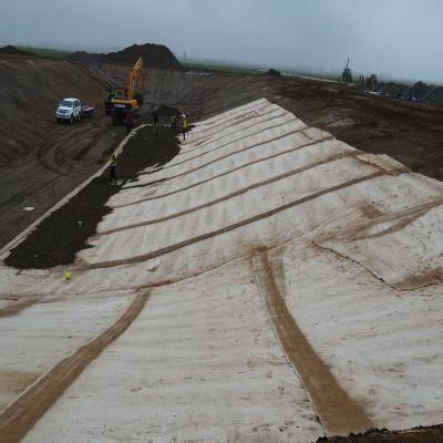 China Bentonite Composite Waterproof Blanket Geosynthetic Clay Liner Bentonite Blanket Geosynthetic Clay Liner Price for sale