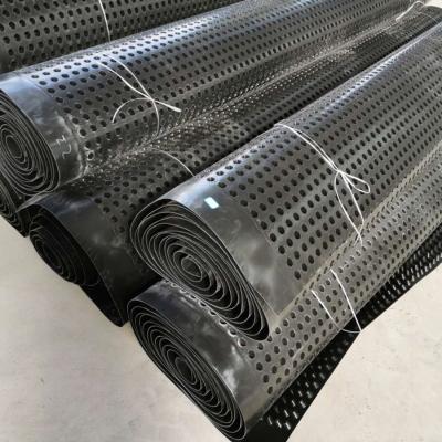 China Dimpled Drainage Membrane Greening Project PVC Perforated Dimple Drainage Board Groundwork Water Solution Water Solution for sale