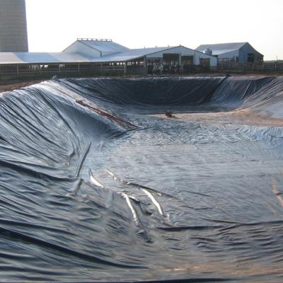 Cina Rivestimento in geomembrana HDPE nera per il rivestimento di laghetti di discarica e progetti di impermeabilizzazione in vendita