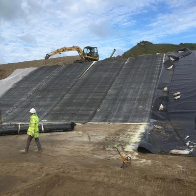 Cina Rivestimento in geomembrana HDPE nera per il rivestimento di laghetti di discarica e progetti di impermeabilizzazione in vendita