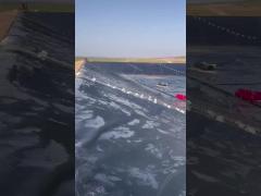 0.5mm HDPE van de de Vijvervoering van Geomembrane van de Polyethyleentank Zwarte Broodjes