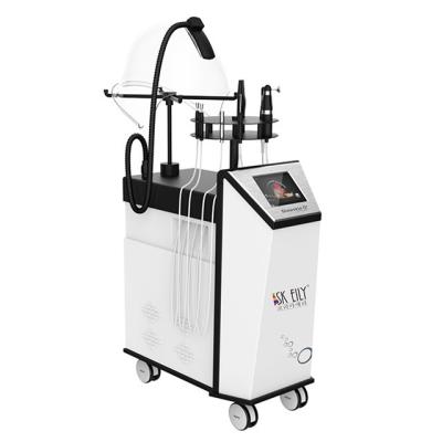 Cina Macchina facciale multifunzionale dell'O2 450Watt di Aqua Peel Oxygen Jet in vendita