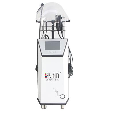 Cina Macchina facciale multifunzionale dell'O2 450Watt di Aqua Peel Oxygen Jet in vendita