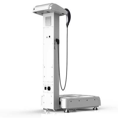 Cina analizzatore di composizione corporea LCD nello schermo 65kg con la stampante in vendita