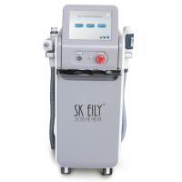 China Multifunction Facial Laser Therapy Machine With Bipolar RF Handle for sale
