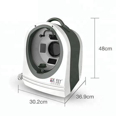 China Aço de Digitas 4GB RAM 8800 Lux Facial Skin Analyzer Stainless à venda