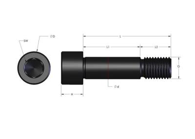 China Socket Head 18/8 Stainless Steel Precision Shoulder Screws Hex Socket Head for sale