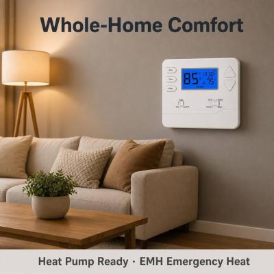 China Riseem Dependable Operation Air Source Heat Pump Thermostat with Internal NTC Sensor in HEAT Mode for sale