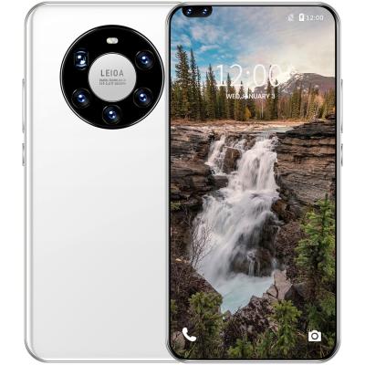 中国 仲間40 Pro+のアンドロイド10.0の元の人間の特徴をもつSmartPhones 7.3のインチ512G 販売のため