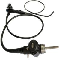 China Portable Veterinary USB Video Gastroscope and Colonscope for sale