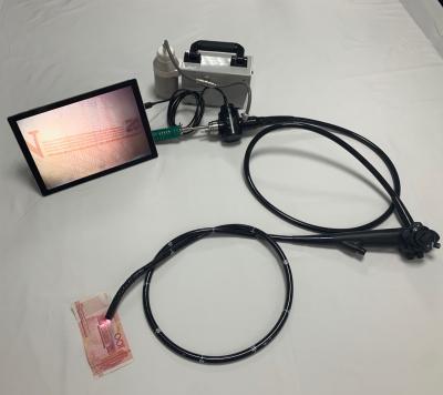 Cina USB veterinario portatile video Gastroscope e Colonscope in vendita
