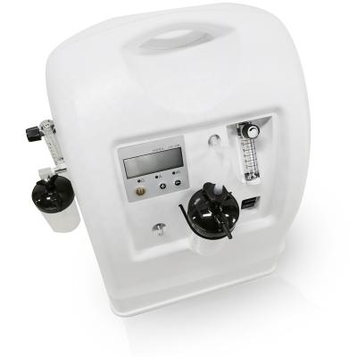 China Hoge de Zuurstofconcentrator 750 VA van de Stroom10l Dubbele Stroom voor Twee Personengebruik Te koop