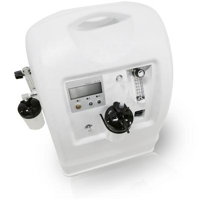 China Hoge de Zuurstofconcentrator 750 VA van de Stroom10l Dubbele Stroom voor Twee Personengebruik Te koop