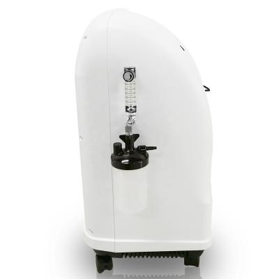 China Hoge de Zuurstofconcentrator 750 VA van de Stroom10l Dubbele Stroom voor Twee Personengebruik Te koop