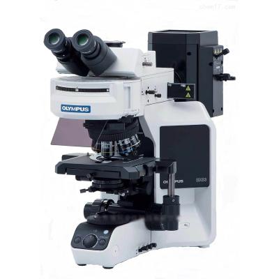 China Van het Beëindigentrinocular van het Olymplusmerk de Hoge Biologische Microscoop met Camera BX53 Te koop