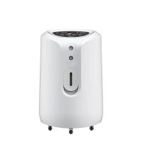 China 10 Liter Portable Oxygen Concentrator for sale