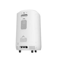 China 10 Liter Portable Oxygen Concentrator for sale