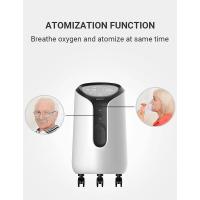 China 10 Liter Portable Oxygen Concentrator for sale