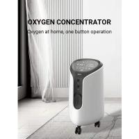 China 10 Liter Portable Oxygen Concentrator for sale