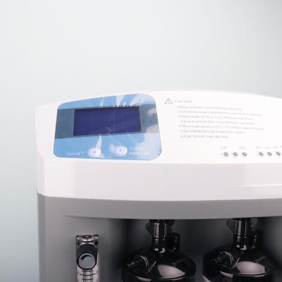 Cina Un mini concentratore doppio portatile a basso rumore 10L di 10 di LPM di flusso O2 del grado medico da vendere in vendita