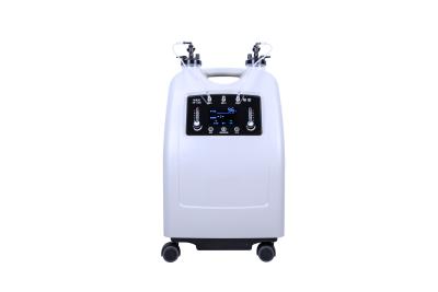 Cina Doppio generatore dell'ossigeno di flusso della famiglia medica calda 10L di vendita & tenore in ossigeno domestico di uso in vendita