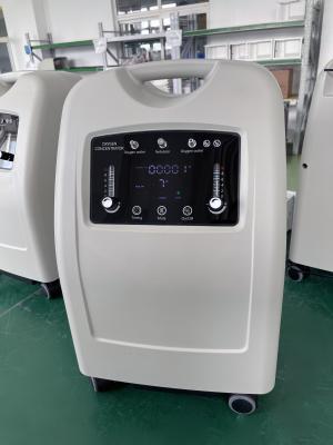 Cina Doppio generatore dell'ossigeno di flusso della famiglia medica calda 10L di vendita & tenore in ossigeno domestico di uso in vendita