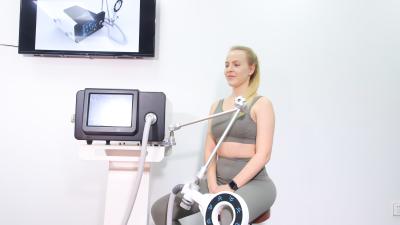 Cina Dispositivo eccellente di terapia fisica di sollievo dal dolore PMST di trasduzione pulsato fisio magnete del campo elettromagnetico in vendita