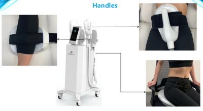 Cina 4 tratta il corpo di 7 Tesla che scolpisce l'attrezzatura elettromagnetica di perdita di peso di terapia della macchina in vendita