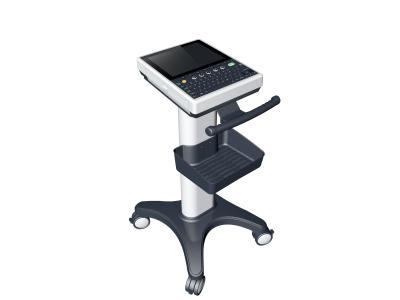 Cina Macchina medica di Manica ECG del dispositivo 12 di Digital ECG in vendita