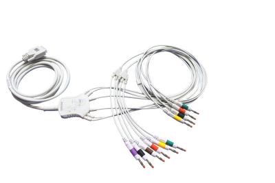Cina Macchina medica di Manica ECG del dispositivo 12 di Digital ECG in vendita