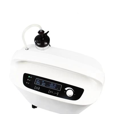 Cina allarme portatile di purezza del nebulizzatore del concentratore 30kPa dell'ossigeno 5L in vendita