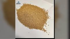 Insulating Glass molecular