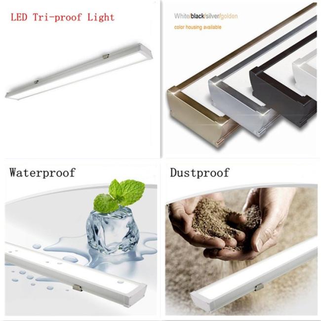 Close-up view of LED Batten Light