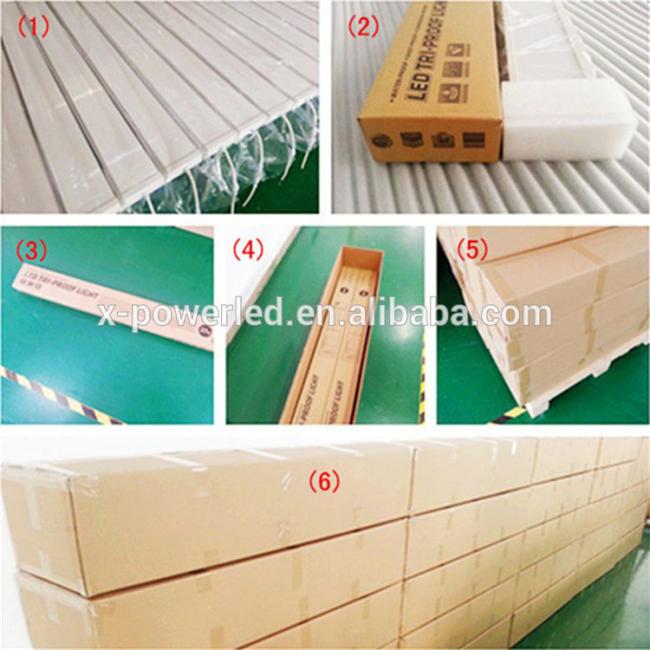 LED Batten Light packaging