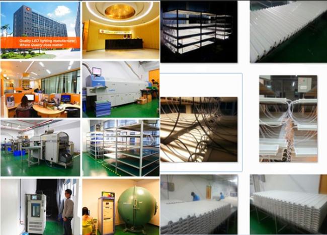 X-Power Corporation office and equipment