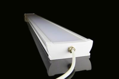 China Waterproof 2ft LED Batten Light Fluorescent Light Fixture With Switchable CCT Power for sale