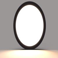 Quality 9 Inch Modern Flush Mount Light 12W 5CCT Led Flush Mount Light for sale