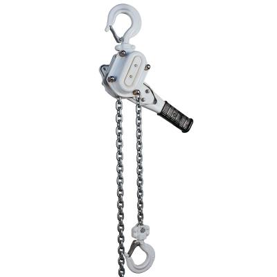 Cina Scalatore a catena resistente alla corrosione in acciaio inossidabile 1 tonnellata in vendita