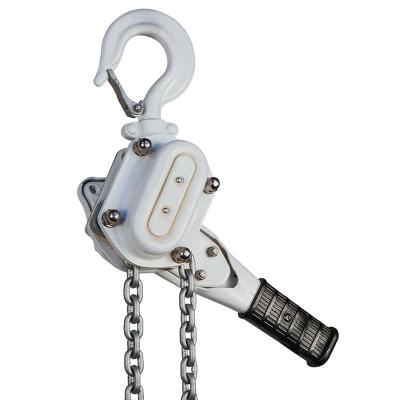 Cina Scalatore a catena resistente alla corrosione in acciaio inossidabile 1 tonnellata in vendita