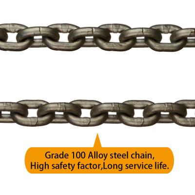 Cina Scalatore a catena resistente alla corrosione in acciaio inossidabile 1 tonnellata in vendita