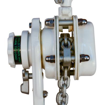 Cina Scalatore a catena resistente alla corrosione in acciaio inossidabile 1 tonnellata in vendita