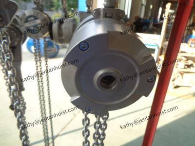 Chine VX-Pro Multi-Usage Mini Hoist - Compact & Versatile Lifting Solution for Low Headroom à vendre