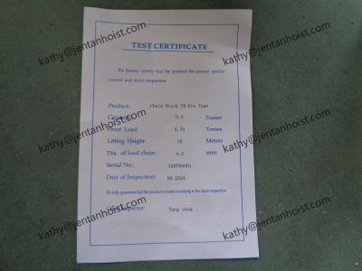 Chine VX-Pro Multi-Usage Mini Hoist - Compact & Versatile Lifting Solution for Low Headroom à vendre