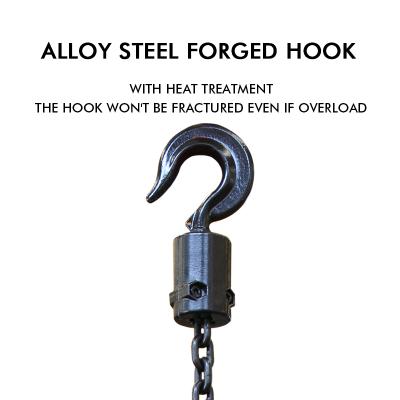 Cina Paranco elettrico a catena Jentan Stage JTDG OEM regolabile 1/2 tonnellata 500 kg in vendita