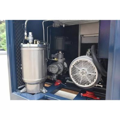 China AC POWER 30 HP Gas Rotary Screw Air Compressor Lubricated for Smooth Operation for sale