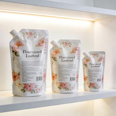 China Custom Order PET VMPET PE Material Structure Laundry Liquid Pouch Thickened Anti Corrosion Acid Base Resistant Plastic Packaging Nozzle for sale