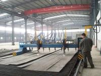 China Multi Head Strip Gantry Type CNC Plasma Cutting Machine for sale