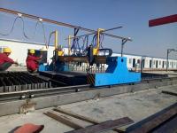 China Multi Head Strip Gantry Type CNC Plasma Cutting Machine for sale